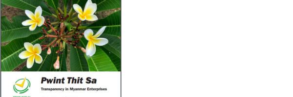 Toyo Battery Myanmar – Official Website